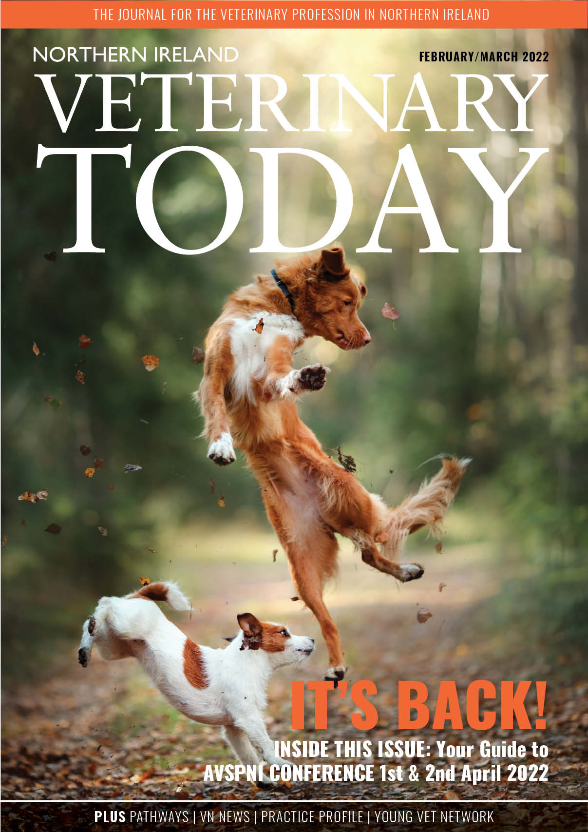 NIVT February/March 2022 Magazine