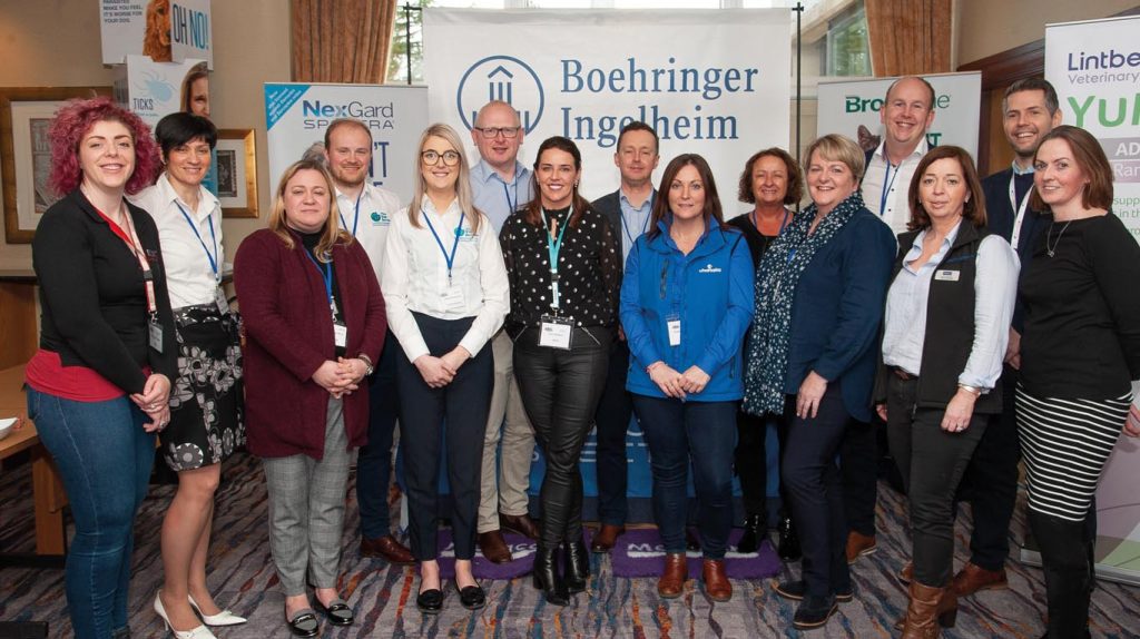 Templepatrick backdrop for YVN annual outing - Northern Ireland ...