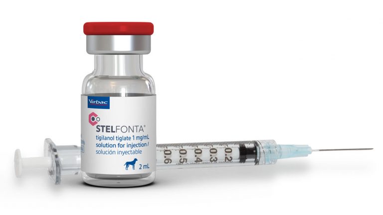 Virbac unveils revolutionary new treatment for MCTs - Northern Ireland ...