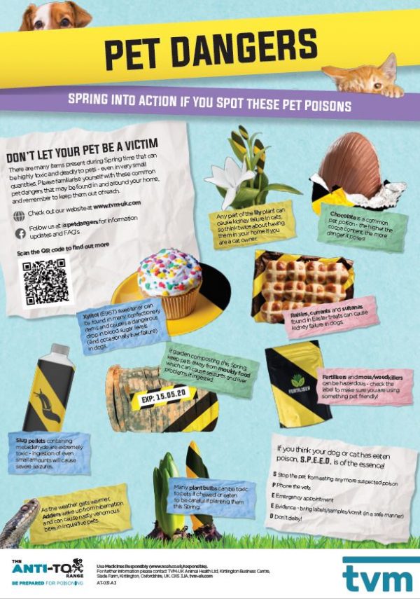 Poster a timely reminder of common pet dangers - Northern Ireland ...
