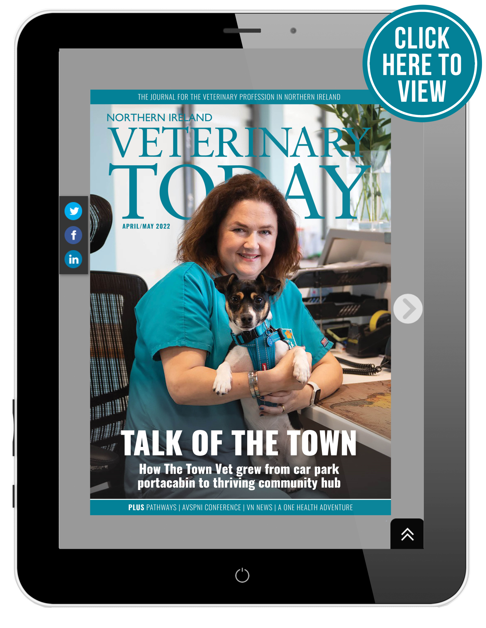 Home - Northern Ireland Veterinary Today