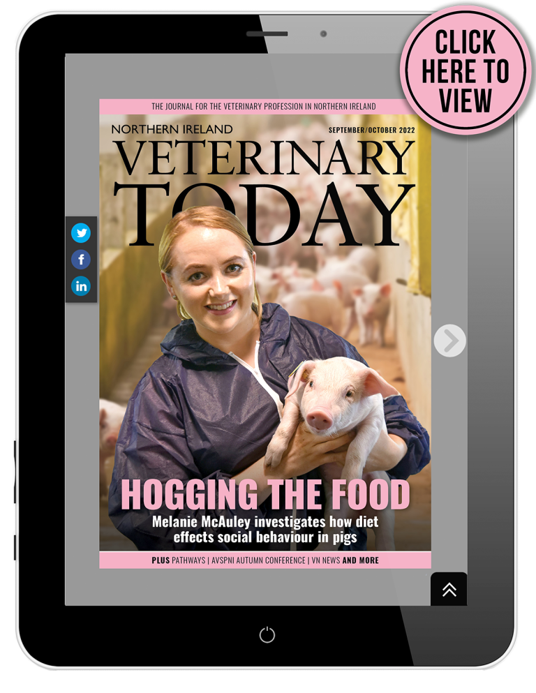 Home - Northern Ireland Veterinary Today