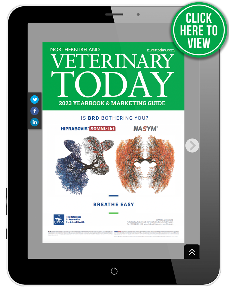 Contact us - Northern Ireland Veterinary Today