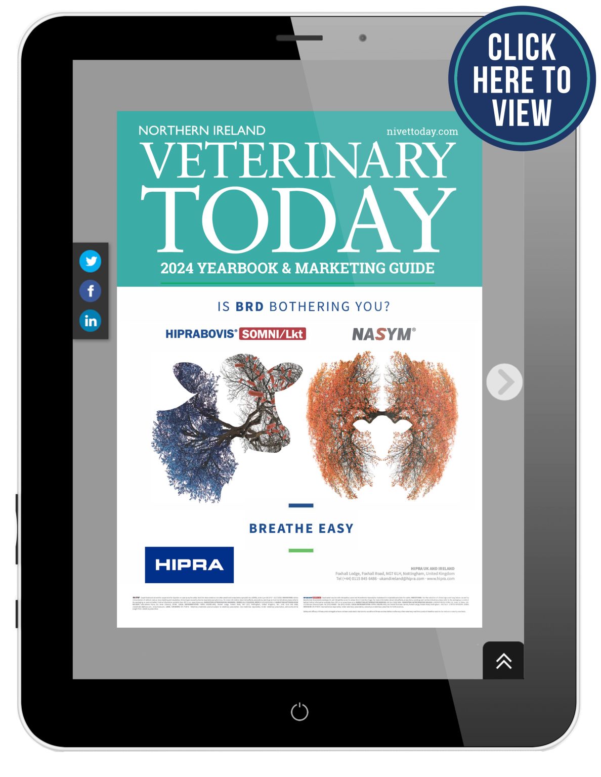 Home - Northern Ireland Veterinary Today