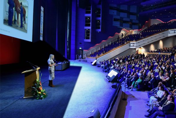 'One Medicine' theme for BEVA Congress - Northern Ireland Veterinary Today