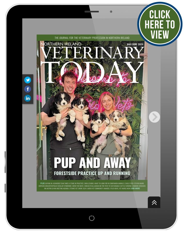 Home - Northern Ireland Veterinary Today