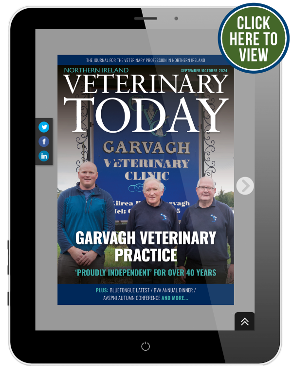 Home - Northern Ireland Veterinary Today