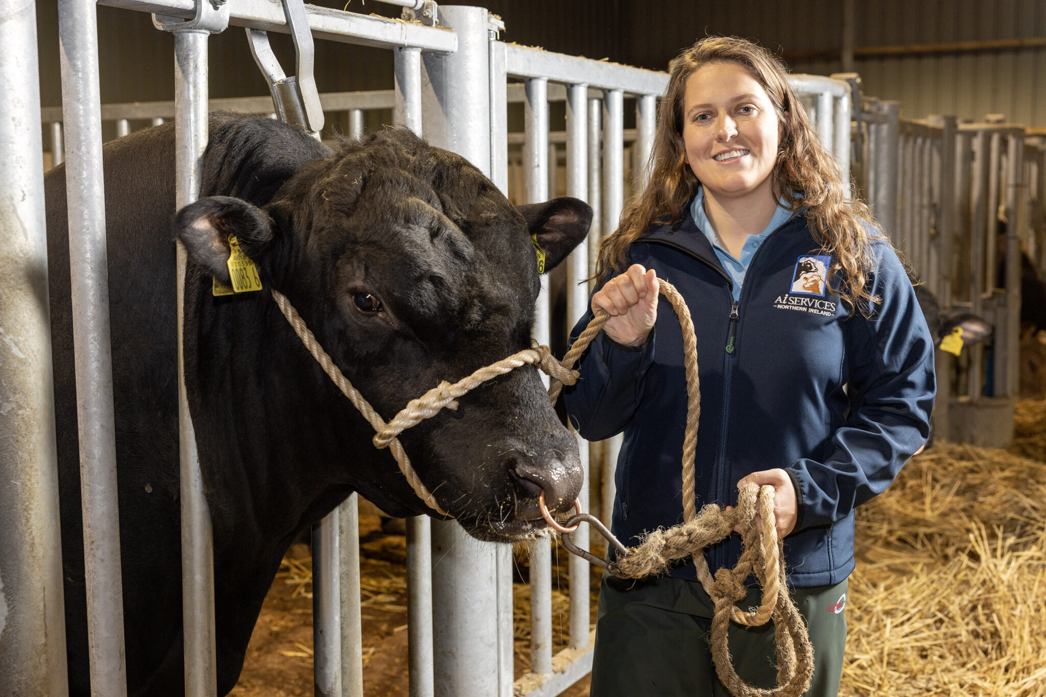 New Veterinary Leadership to Advance Artificial Insemination and Bull ...